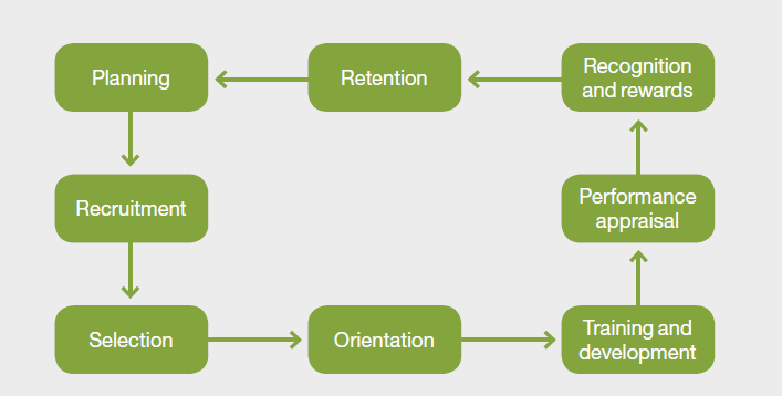 Volunteer Management – Staff Section – The Disability Resource